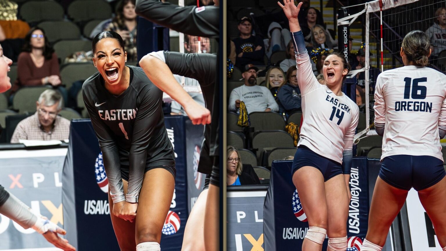 Volleyball – The Voice